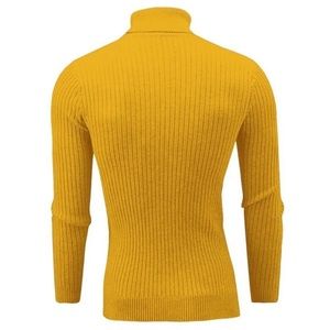Sweaters | New Mens Casual Slim Fit Turtleneck Pullover Sweaters Gold ...